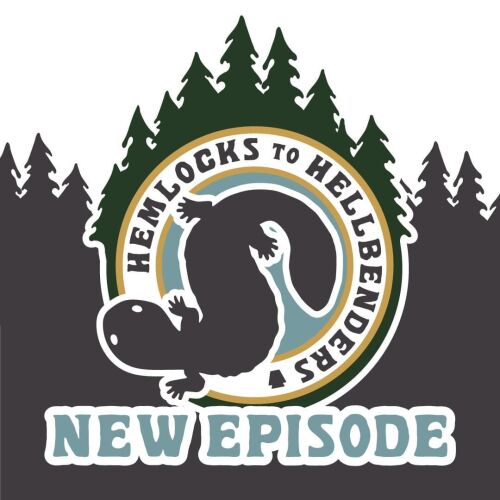 Podcast explores climbing in PA state parks, featuring SWPACC and EPAC ...